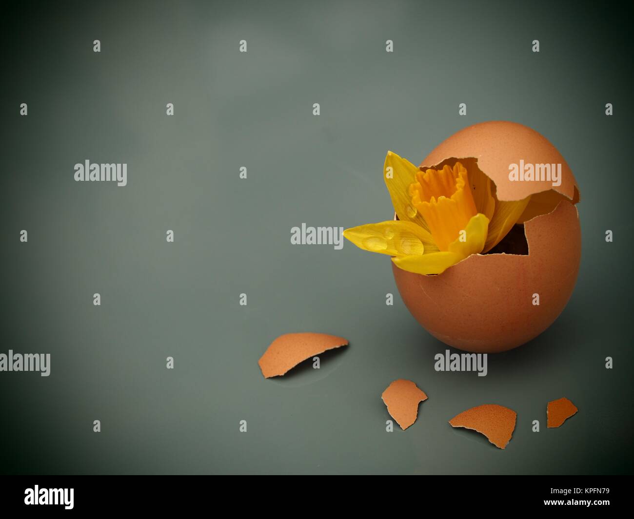 Awakening flower hi-res stock photography and images - Alamy