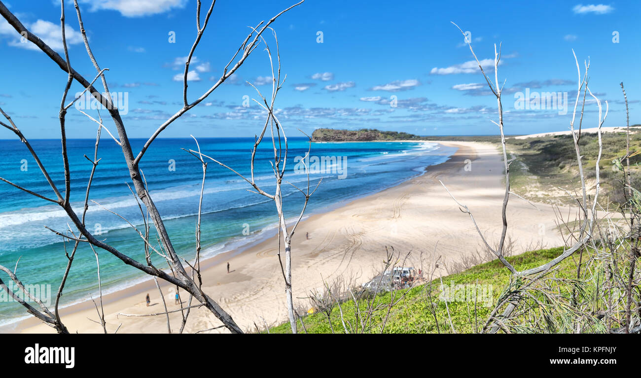 in australia fraser island the beach near the rocks in the wave of ...