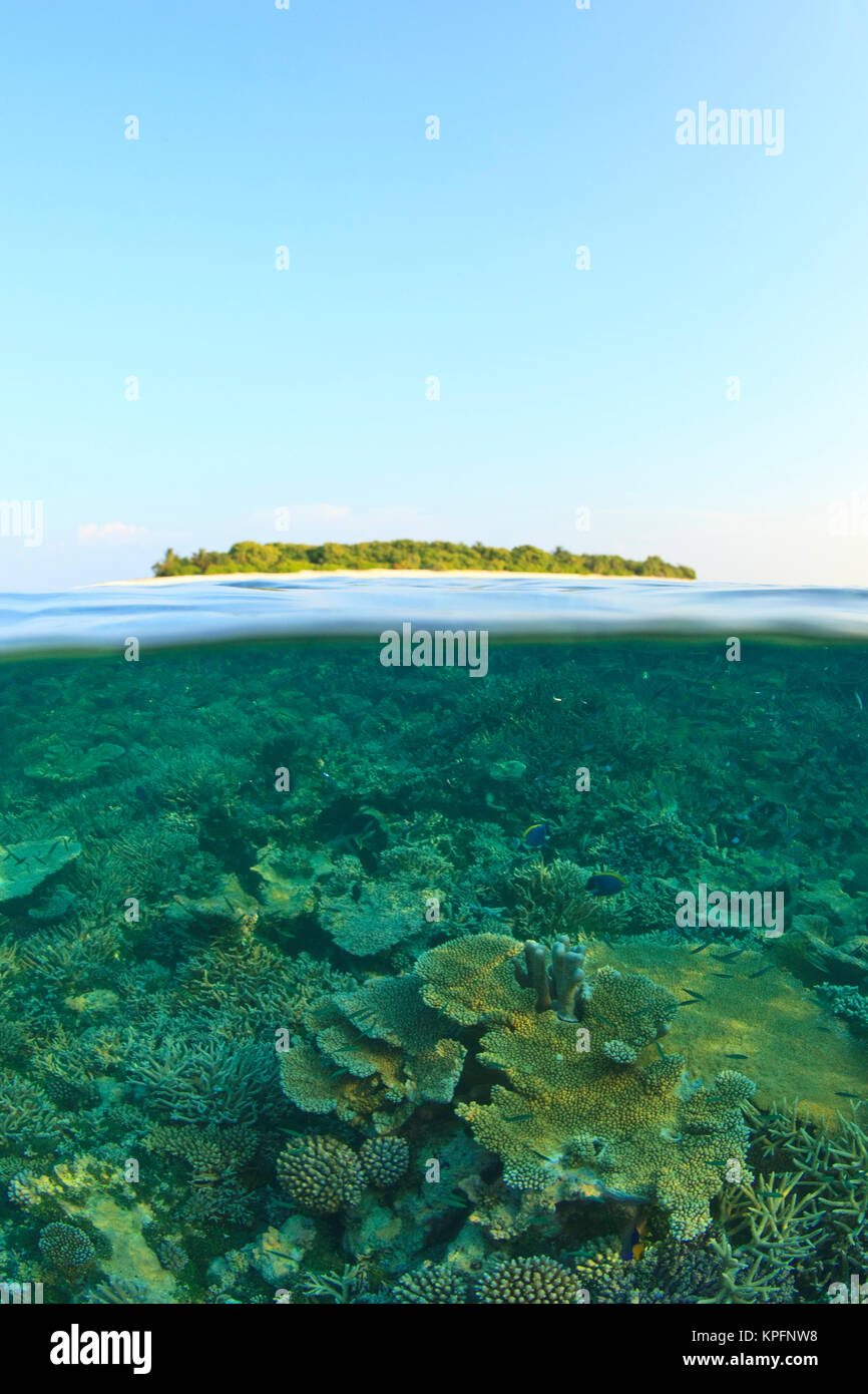 Above & Below View, Havodigalaa Island, South Huvadhoo Atoll, Southern ...