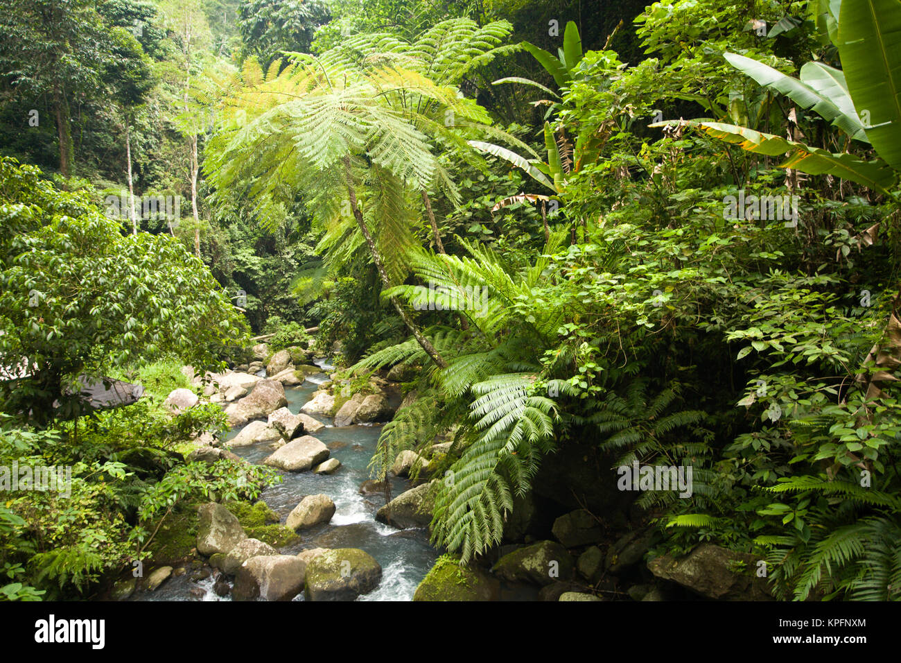 Casaroro Waterfall Area near village of Valencia, near Dumaguete ...
