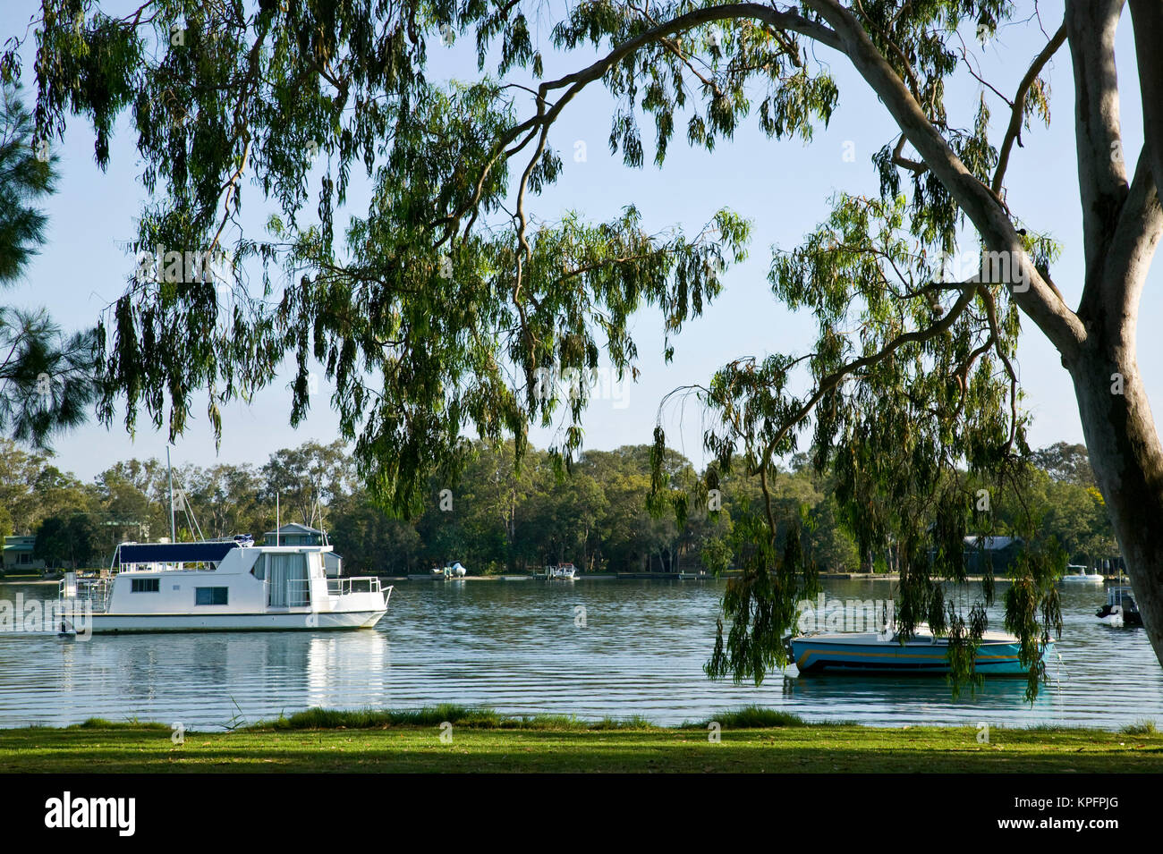 Australia, Queensland, Sunshine Coast, Noosa. Along the Noosa River ...