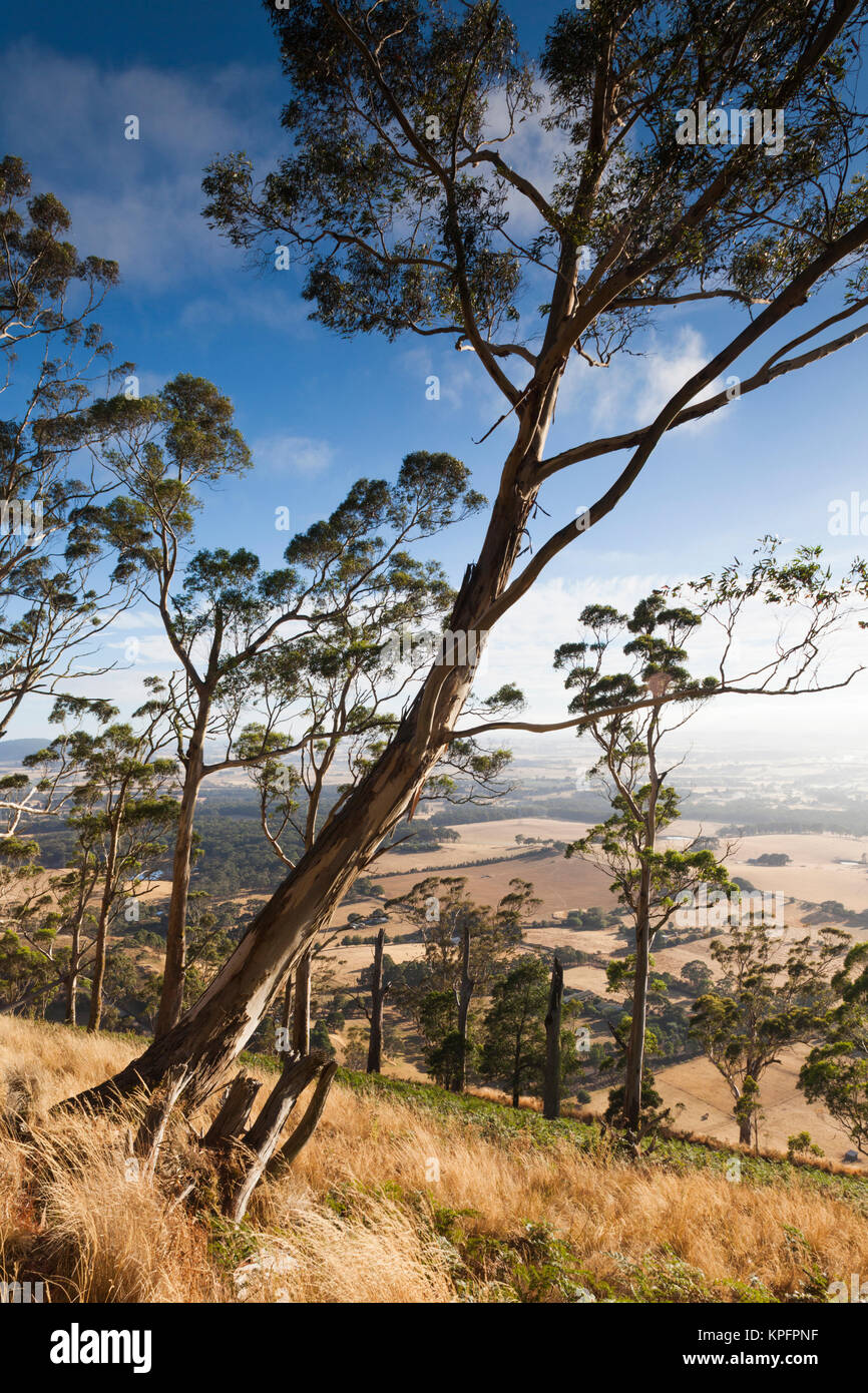 Australia, Victoria, Buninyong, elevated view of landscape from Mount ...