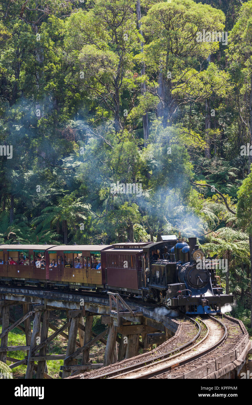 Australia, Victoria, The Dandenong Ranges, Belgrave, Puffing Billy steam train Stock Photo - Alamy