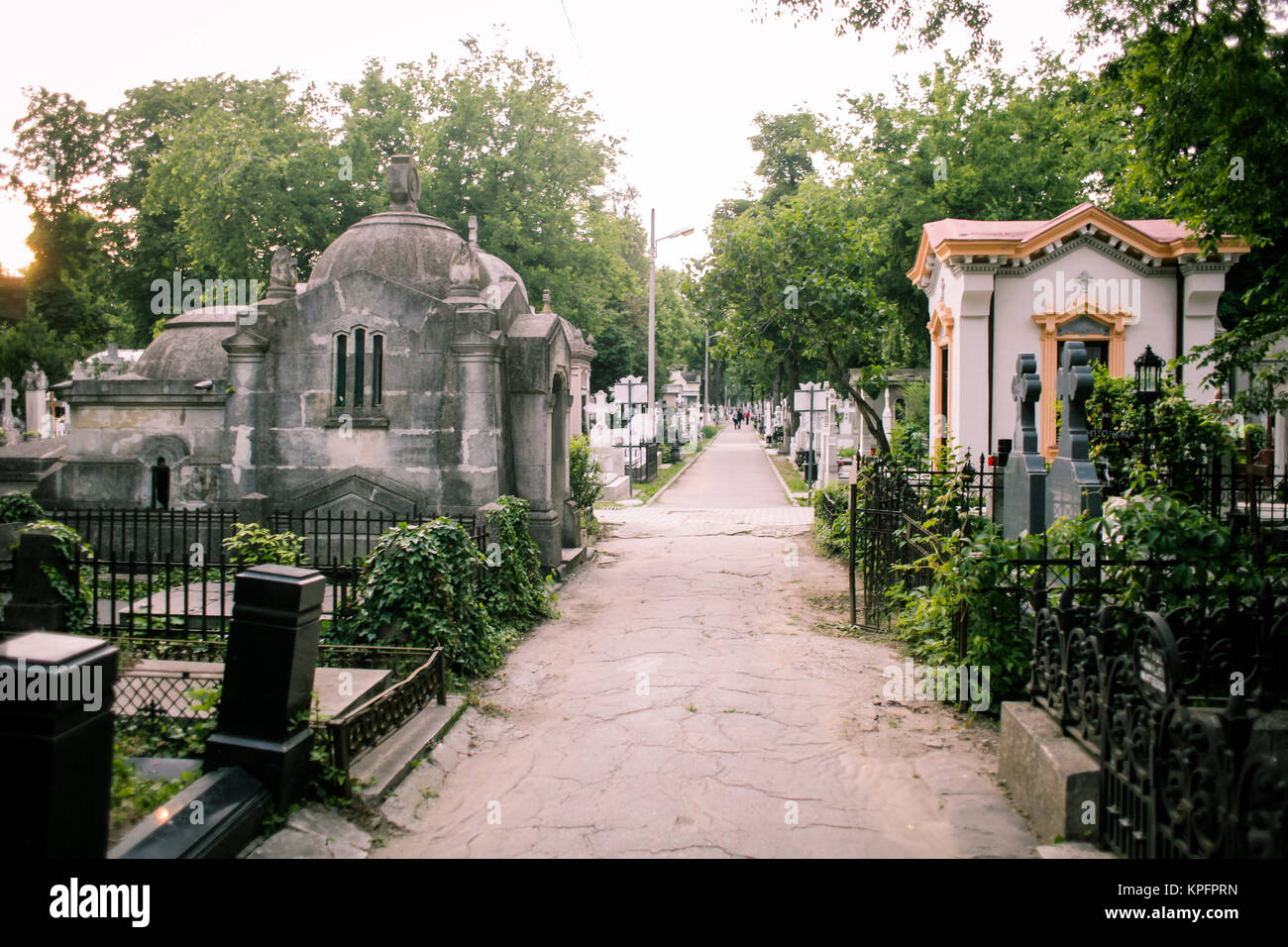 Graves, statues and crypts in an old cemetery Stock Photo - Alamy