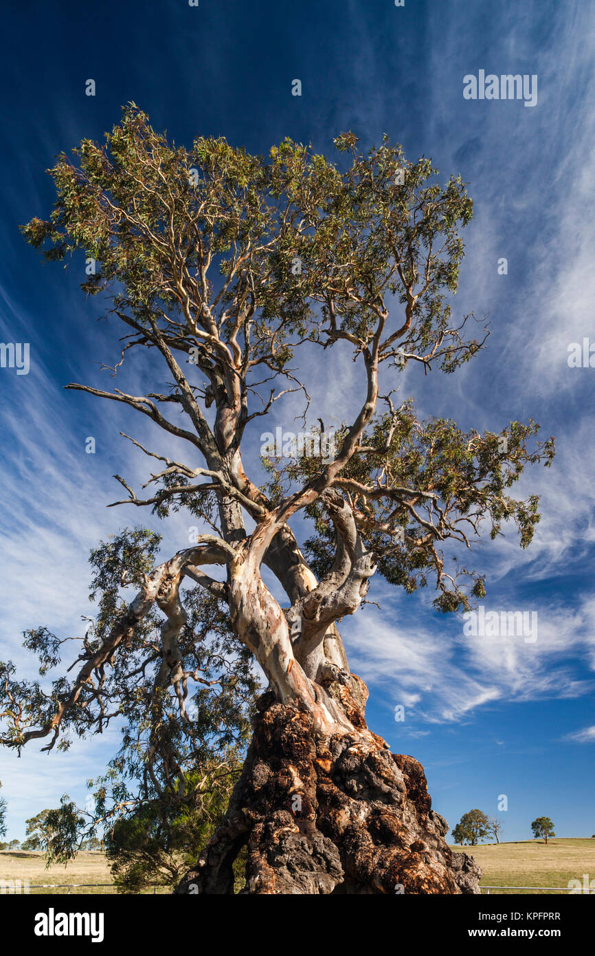 Springton hi-res stock photography and images - Alamy