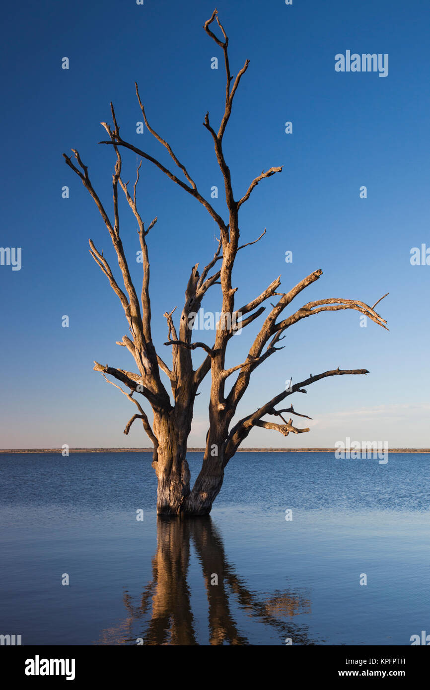 Lake barmera riverland south australia hi-res stock photography and ...