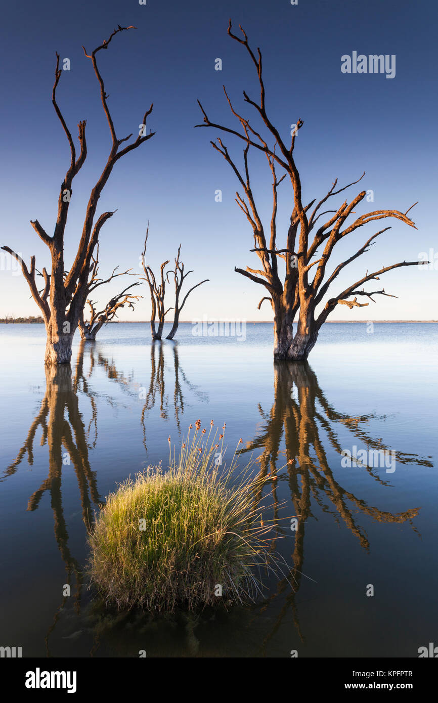 Lake barmera riverland south australia hi-res stock photography and ...