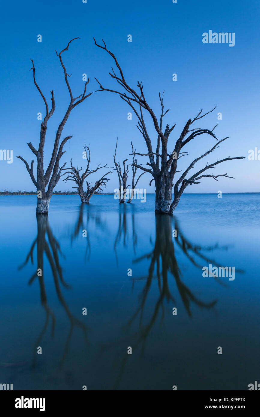 Lake barmera riverland south australia hi-res stock photography and ...