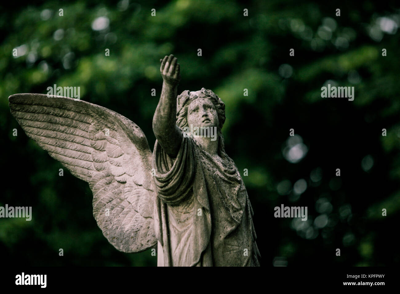 Graves, statues and crypts in an old cemetery Stock Photo - Alamy