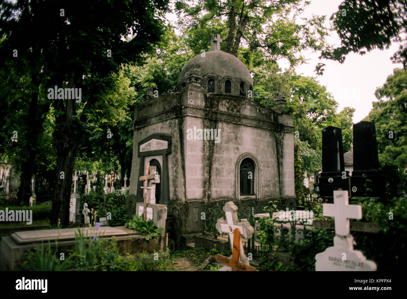 Graves, statues and crypts in an old cemetery Stock Photo - Alamy