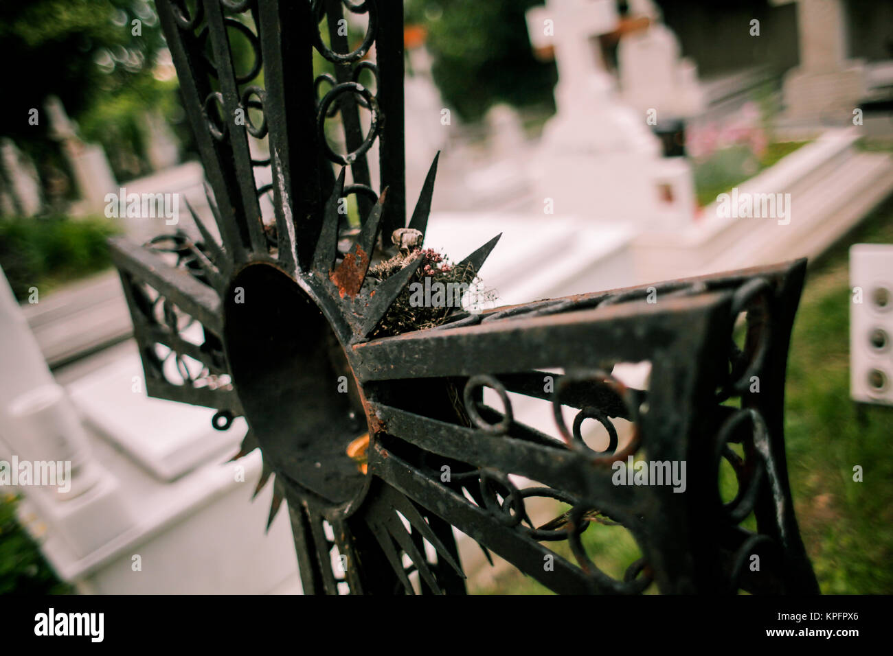 Graves, statues and crypts in an old cemetery Stock Photo - Alamy