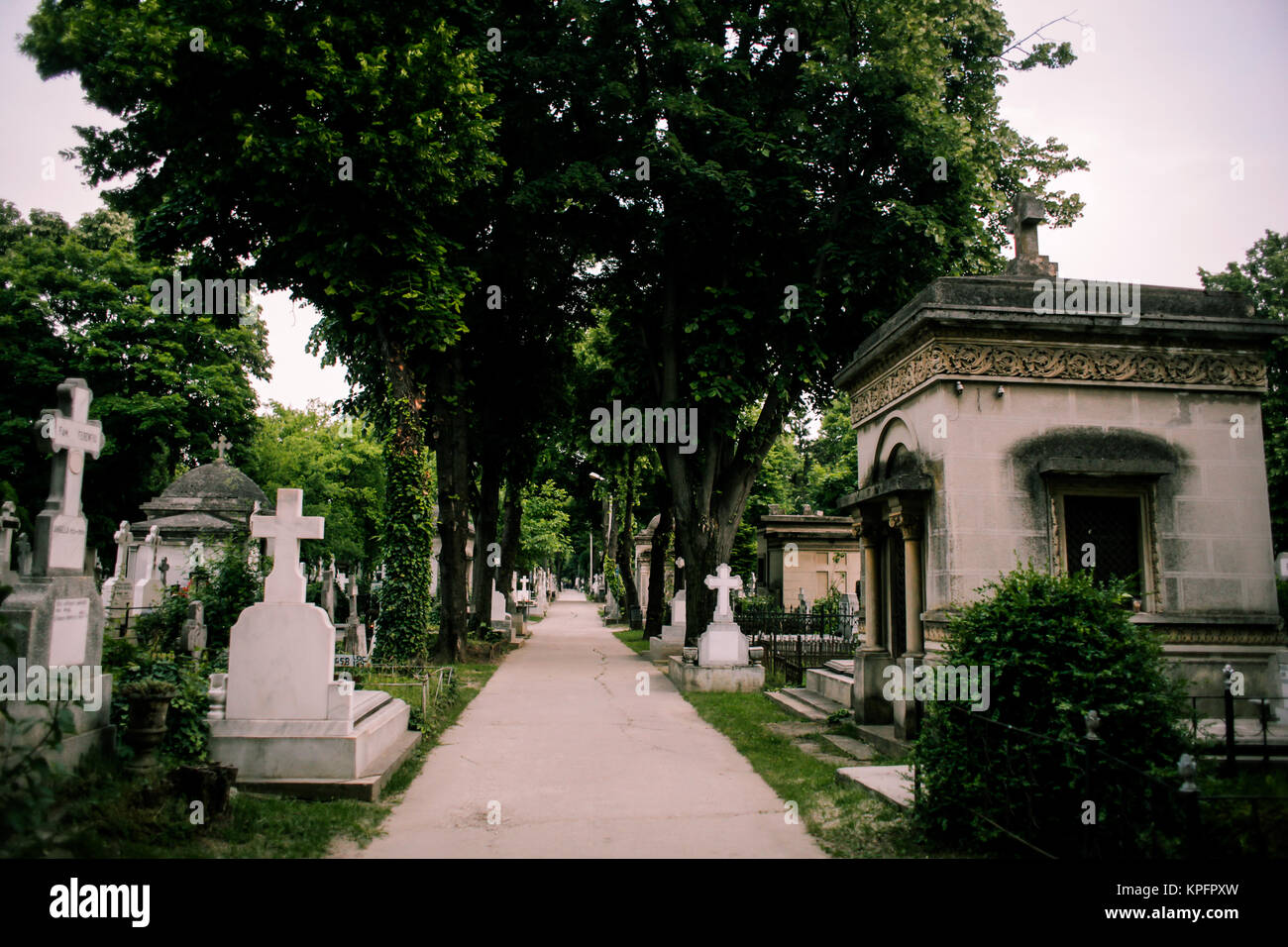 Graves, statues and crypts in an old cemetery Stock Photo - Alamy