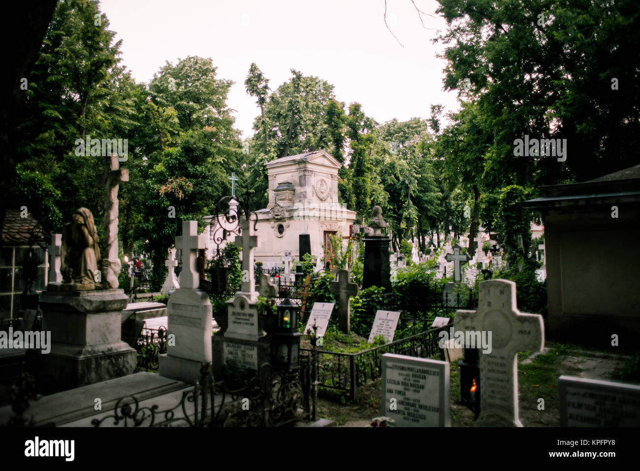 Graves, statues and crypts in an old cemetery Stock Photo - Alamy