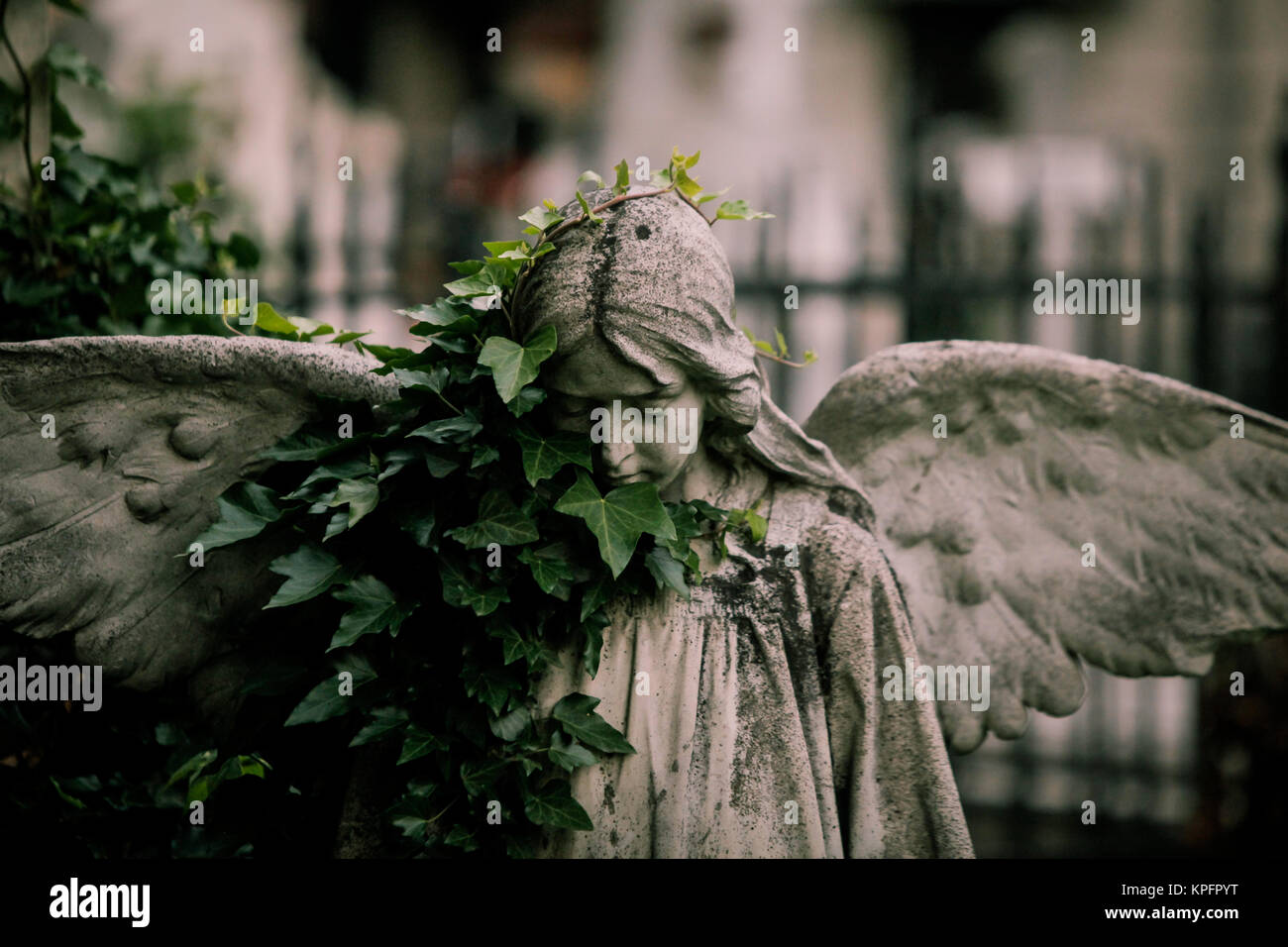 Graves, statues and crypts in an old cemetery Stock Photo - Alamy
