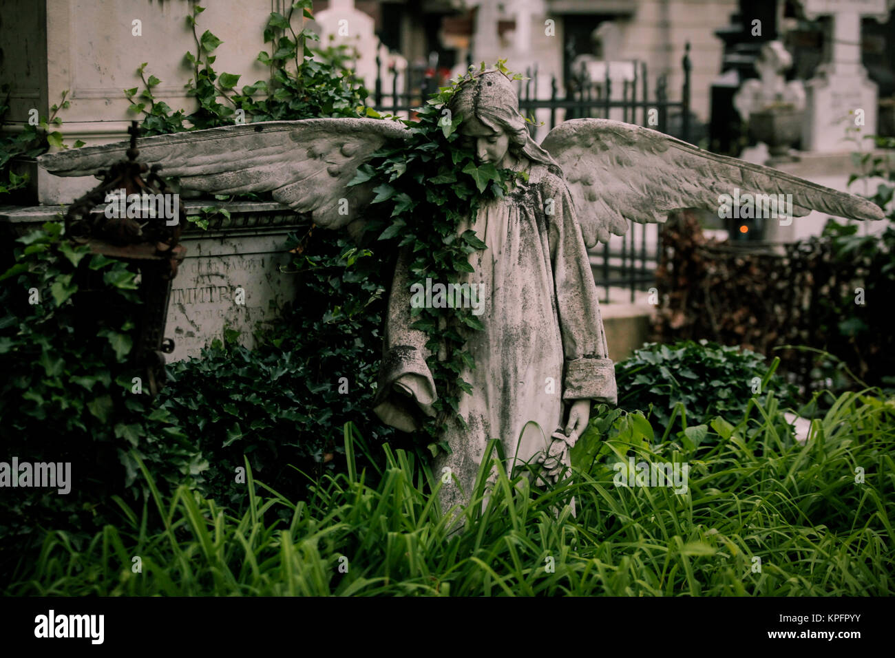 Graves, statues and crypts in an old cemetery Stock Photo - Alamy