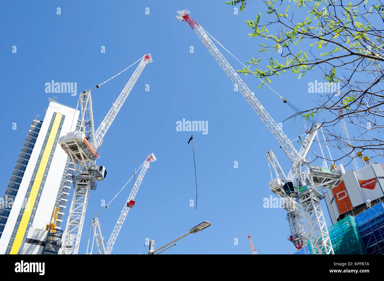 Tower cranes over construction site, Sydney, New South Wales, Australia ...