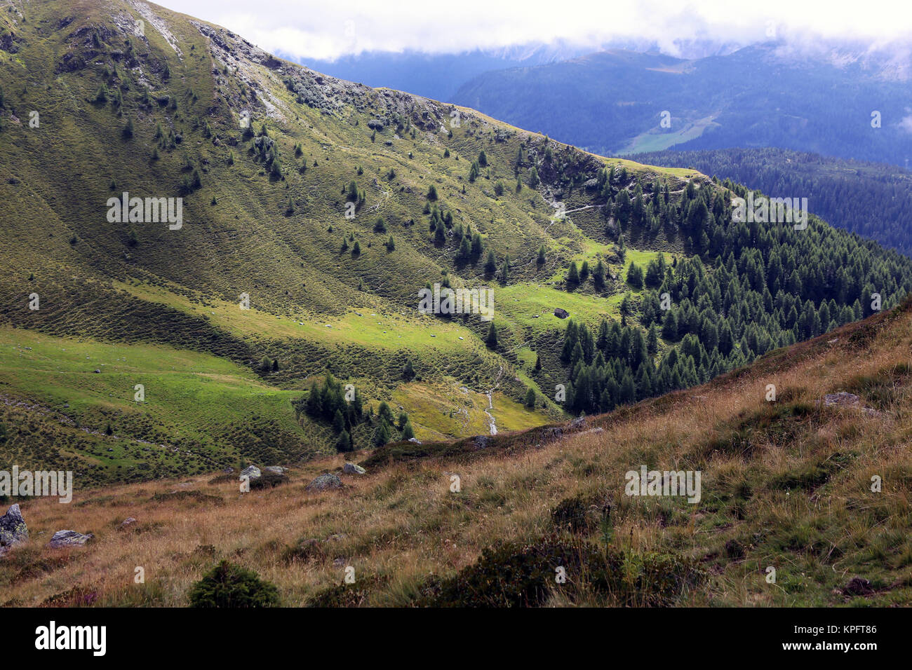 Landscape in the Carnic Alps Stock Photo - Alamy