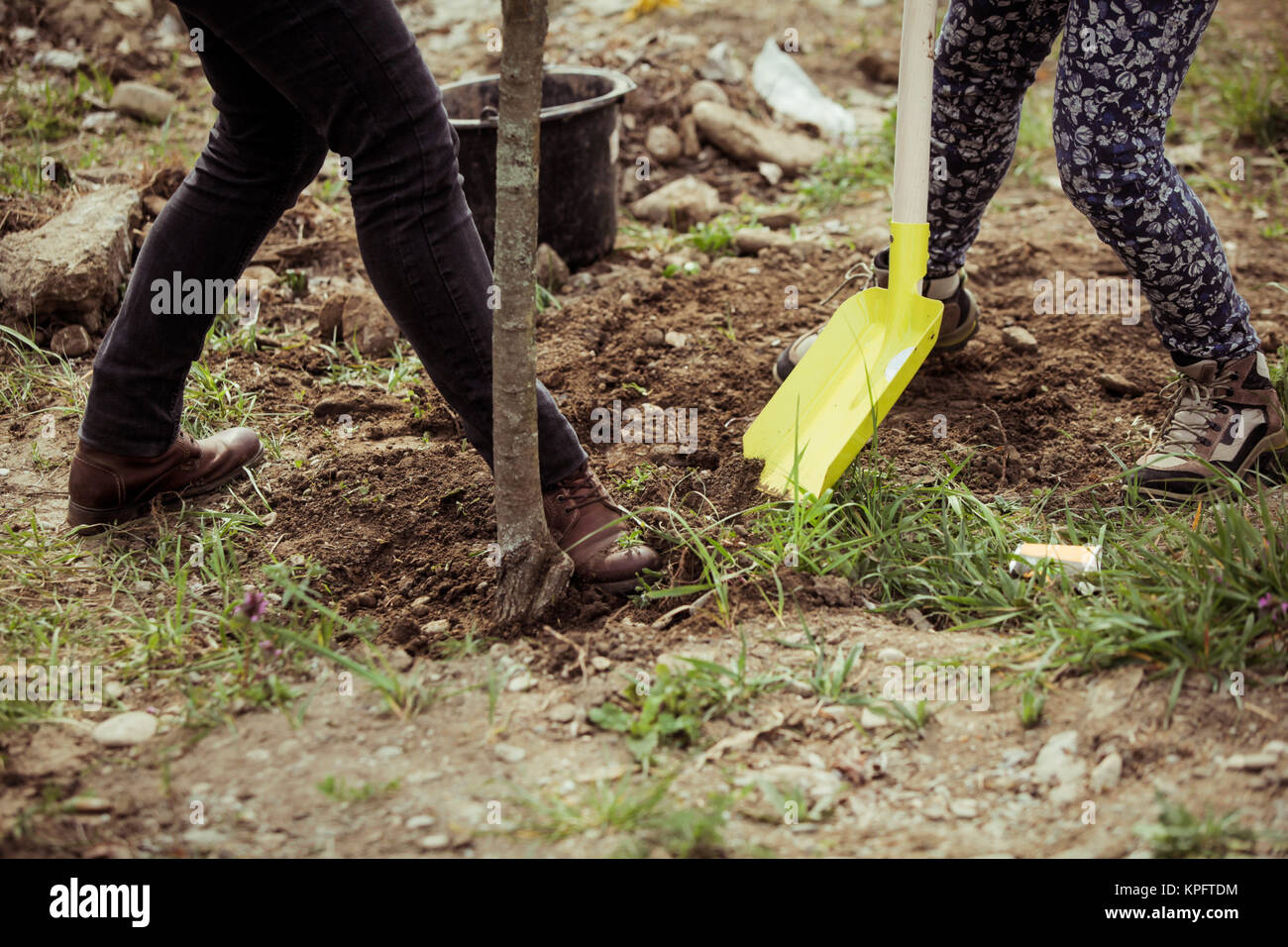 Close up ground trees in hi-res stock photography and images - Alamy