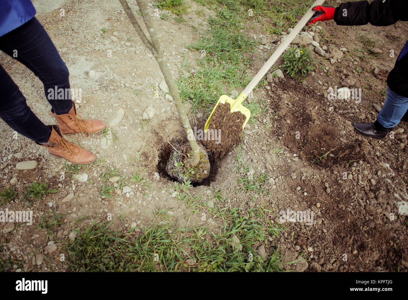 Close up ground trees in hi-res stock photography and images - Alamy