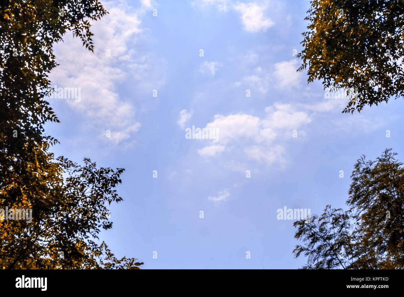 Blue Sky with the trees of autumn Stock Photo - Alamy