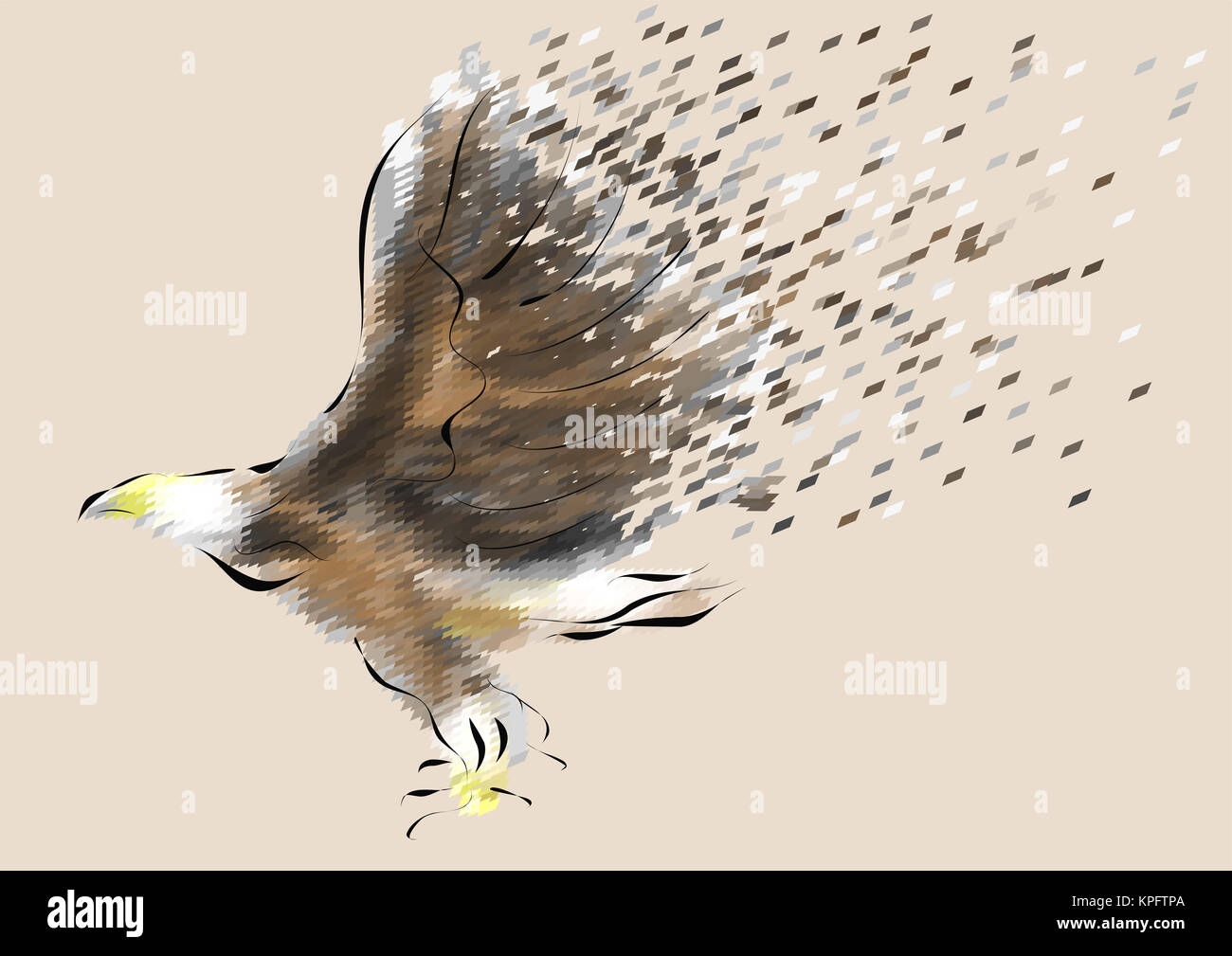 Eagle feather shape hi-res stock photography and images - Alamy