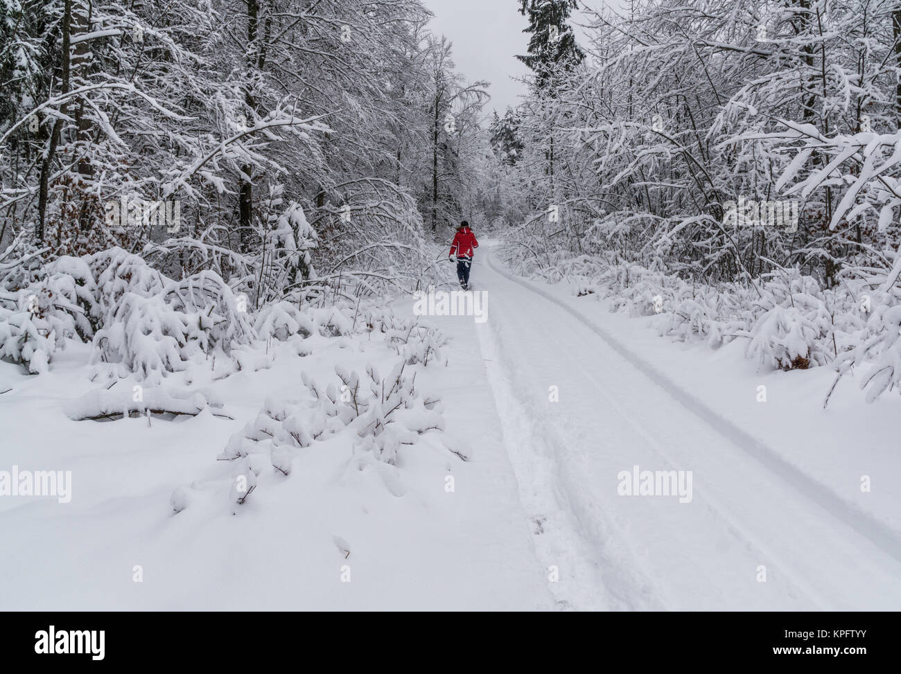 alpine foothills in winter Stock Photo - Alamy