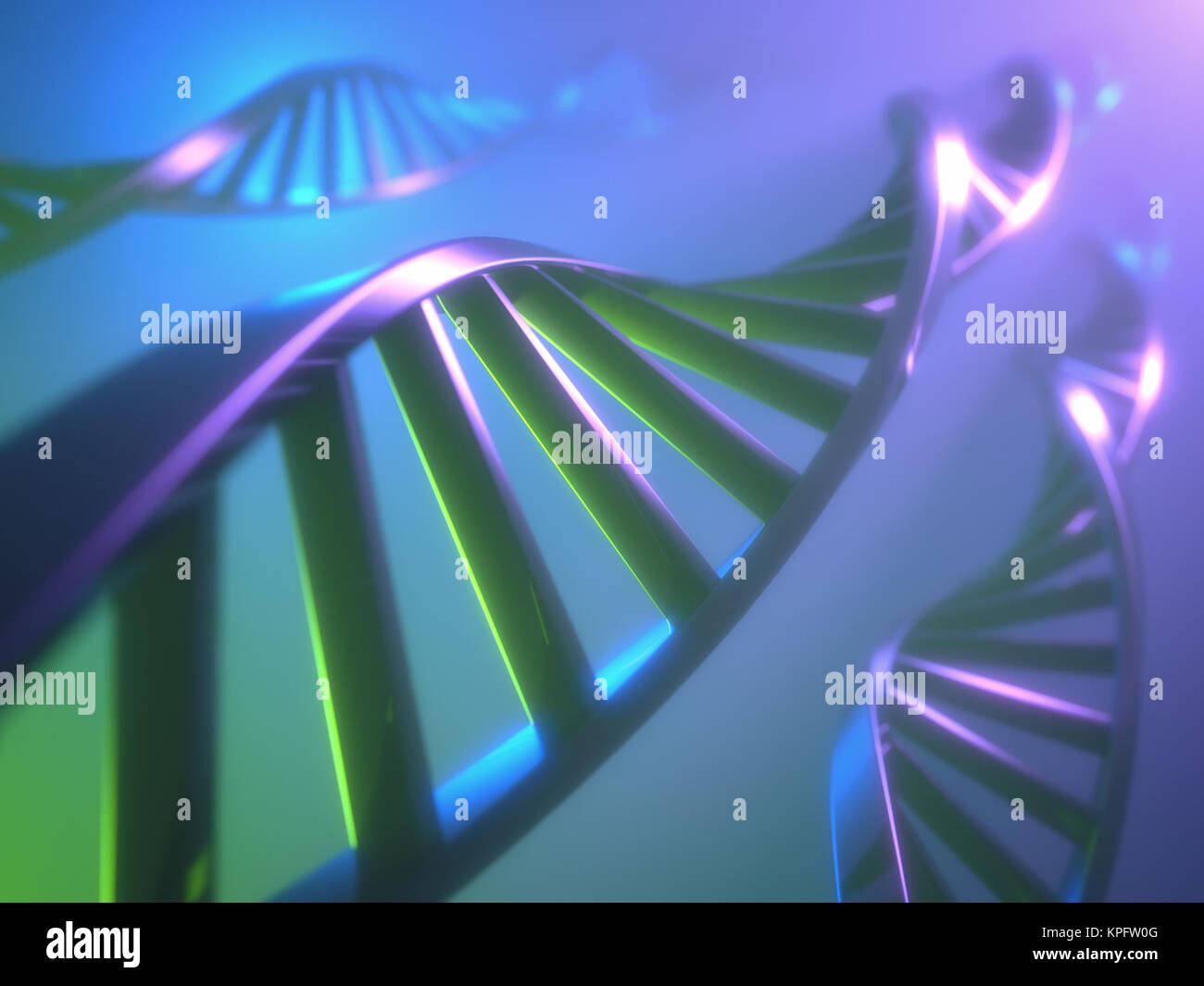 Academic evolution hi-res stock photography and images - Alamy