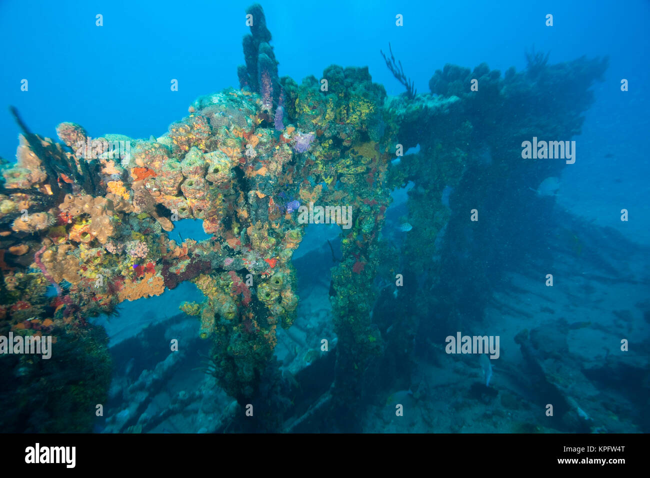 Wreck of the RMS Rhone, iron-hulled steam sailing vessel, sank after ...