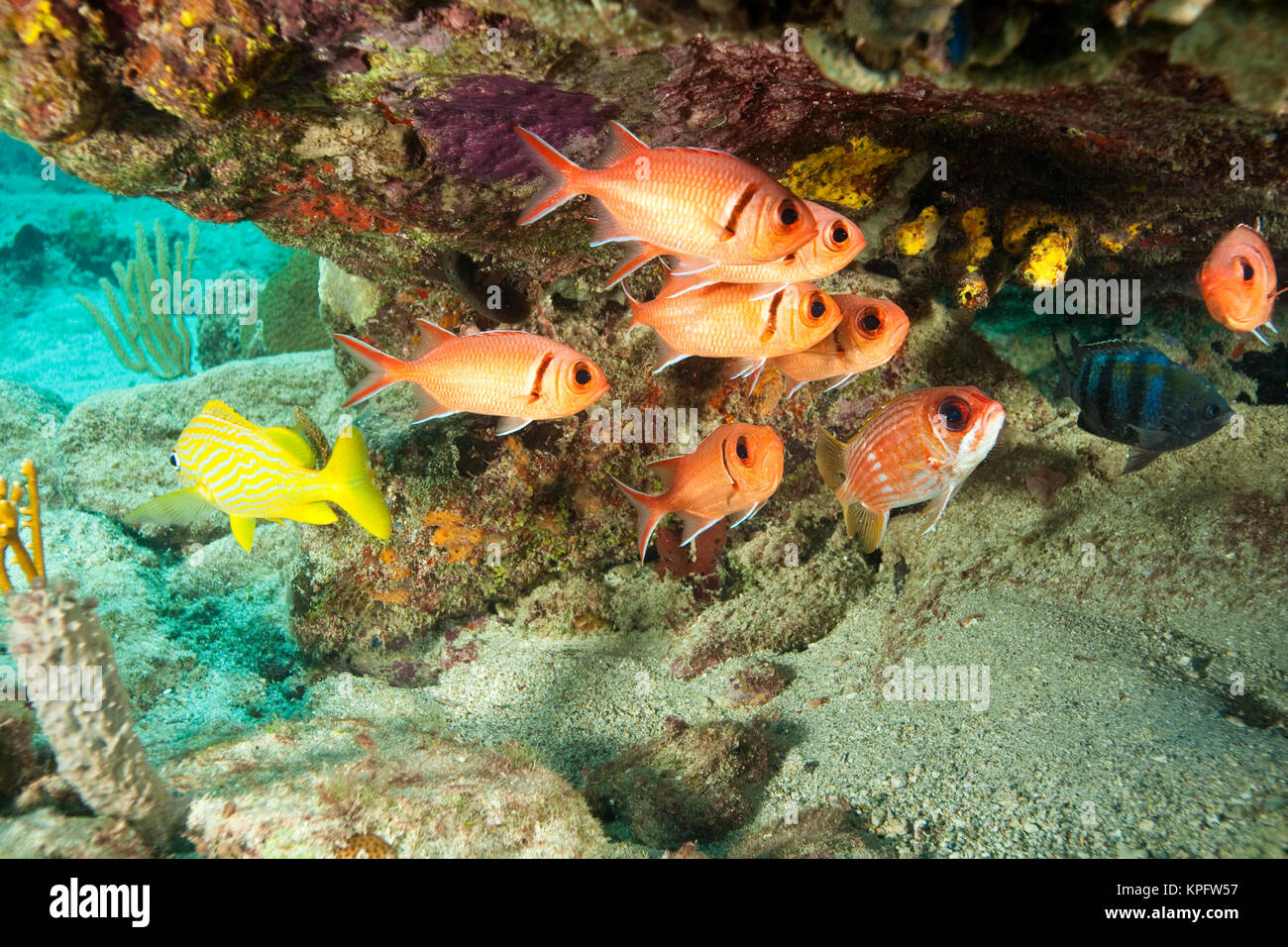 Fish island ledge hi-res stock photography and images - Alamy