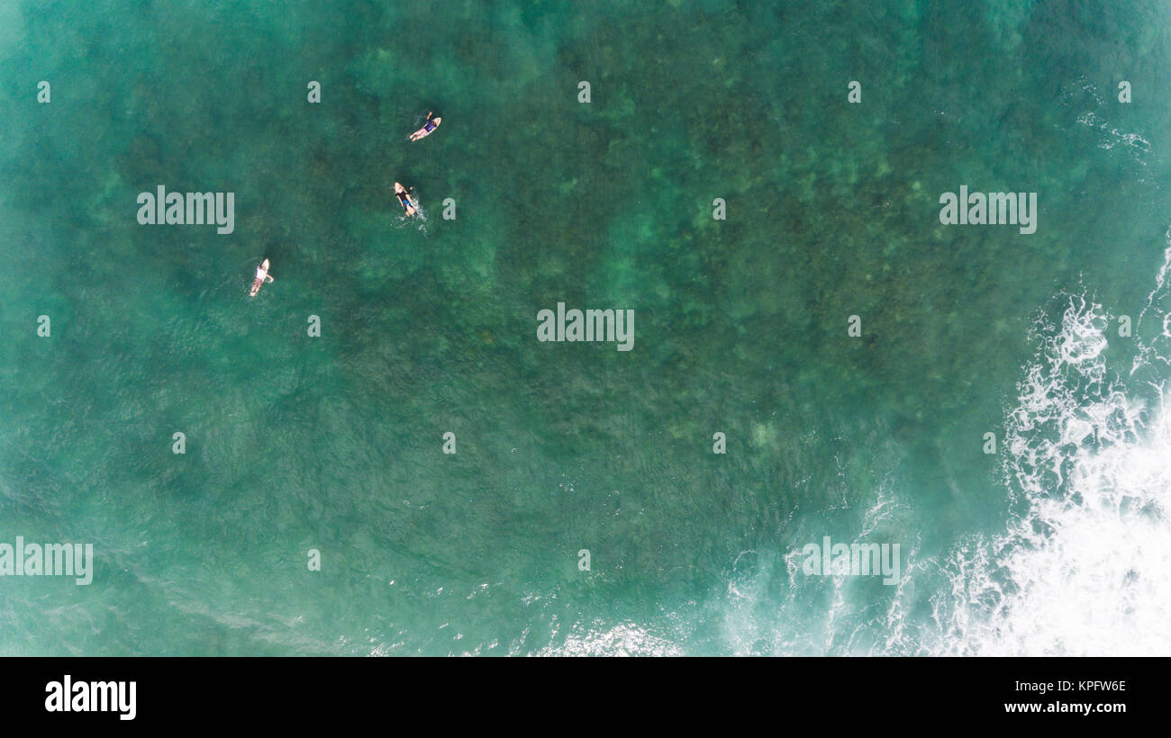 Aerial view of Surfer swimming on board near huge blue ocean wave Stock ...