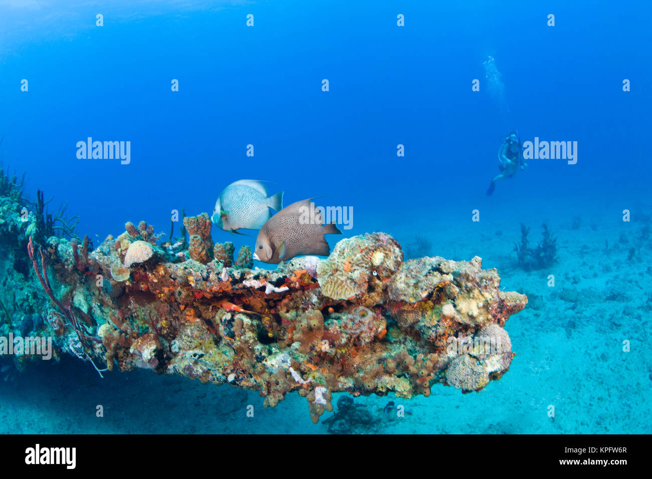 The wreck of rms rhone hi-res stock photography and images - Alamy