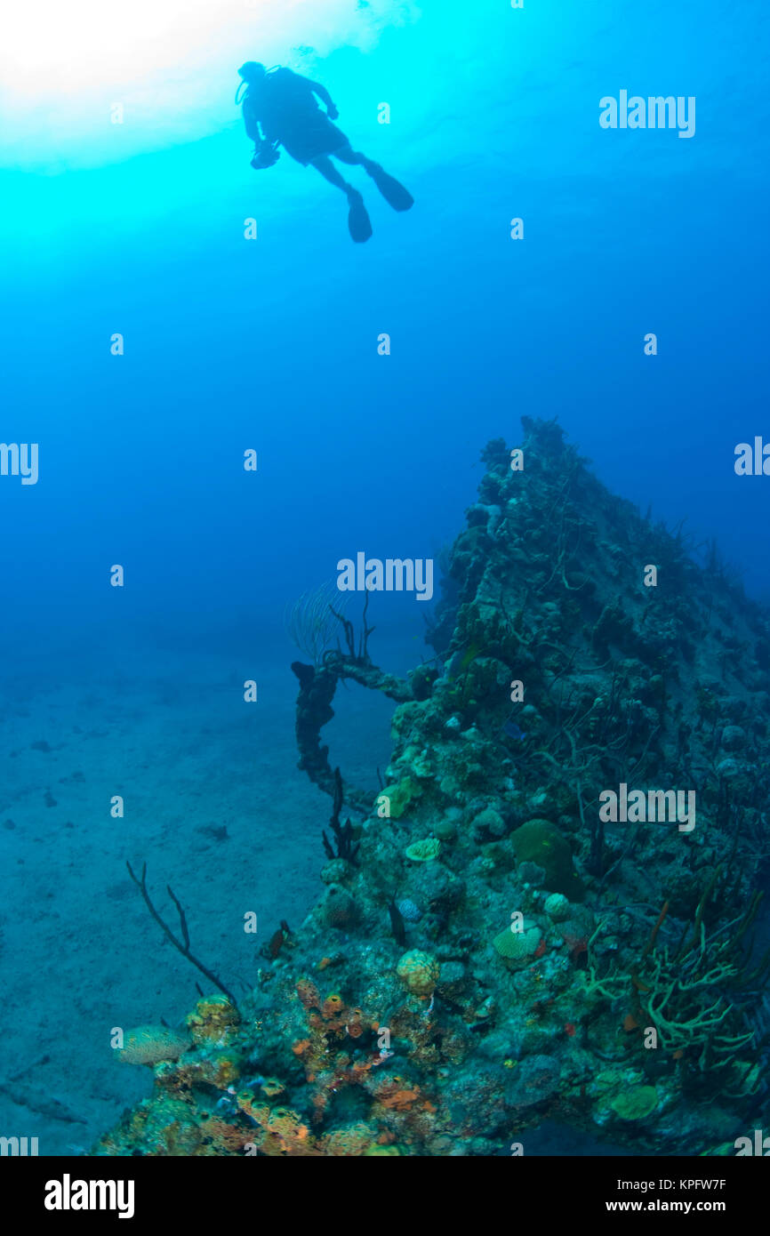 (MR) scuba divers, Wreck of the RMS Rhone, iron-hulled steam sailing ...