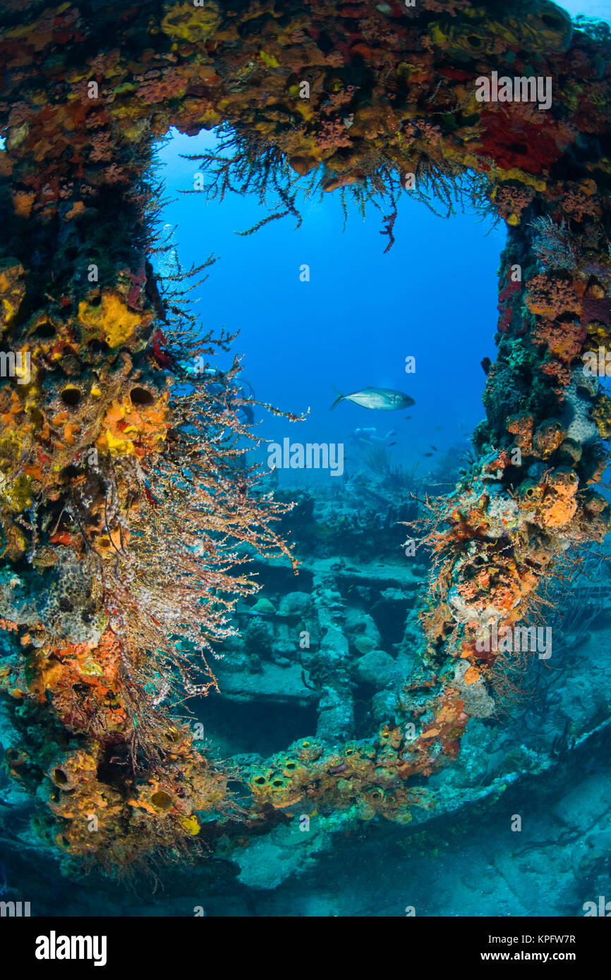 Wreck of the rms rhone hi-res stock photography and images - Alamy