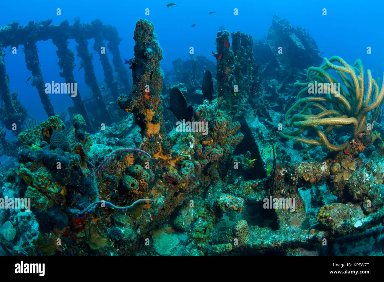 Wreck of the RMS Rhone, iron-hulled steam sailing vessel, sank after ...