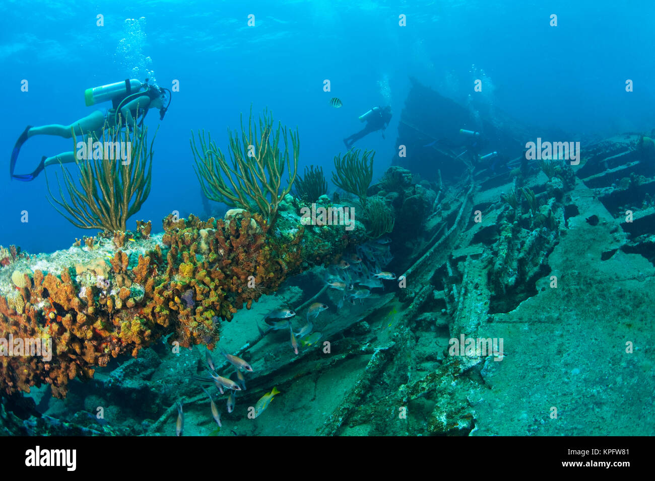 Wreck of the rms rhone hi-res stock photography and images - Alamy