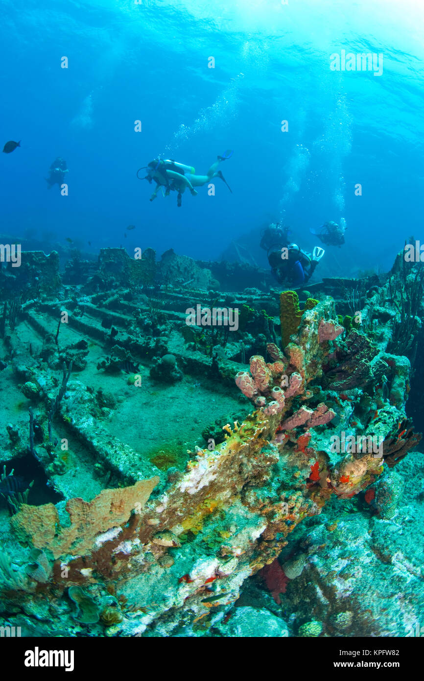 (MR) scuba divers, Wreck of the RMS Rhone, iron-hulled steam sailing ...