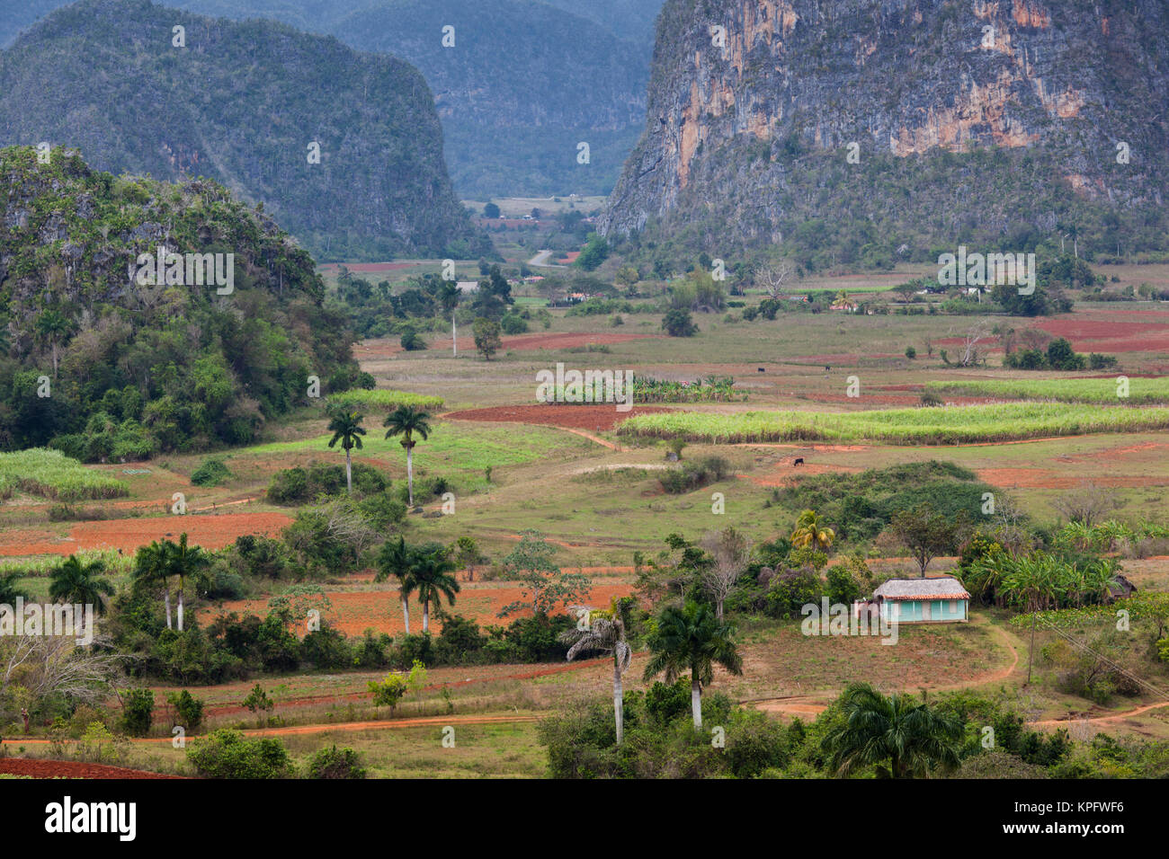 Cuba, Pinar del Rio Province, Vinales, Vinales Valley, elevated view ...