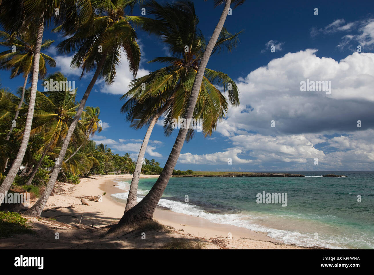 Playa el frances playa hi-res stock photography and images - Alamy