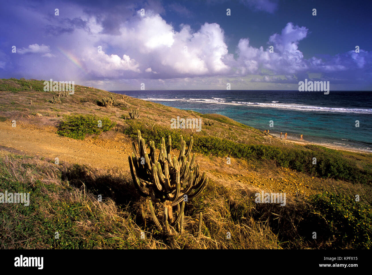 Caribbean, US Virgin Islands, St. Croix, Point Udall. Point seascape ...
