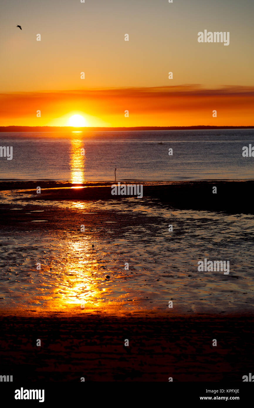in australia the sunset in the ocean like concept of relax and holiday ...