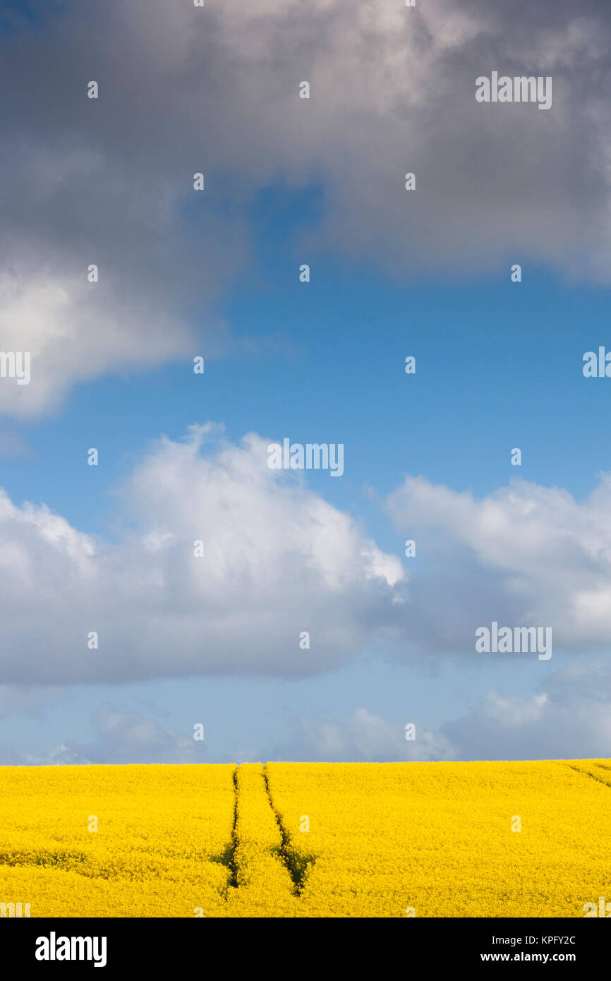 Tjele hi-res stock photography and images - Alamy