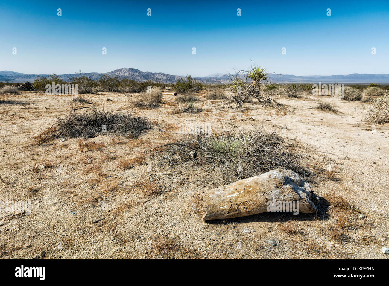 Joshua Tree National Park Landscape Stock Photo - Alamy