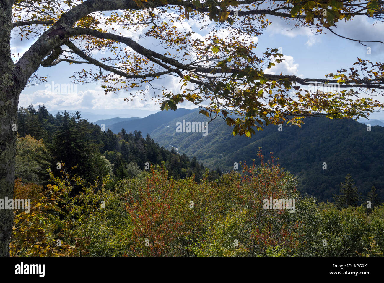 Scenic view at Newfound Gap North Carolina Stock Photo - Alamy