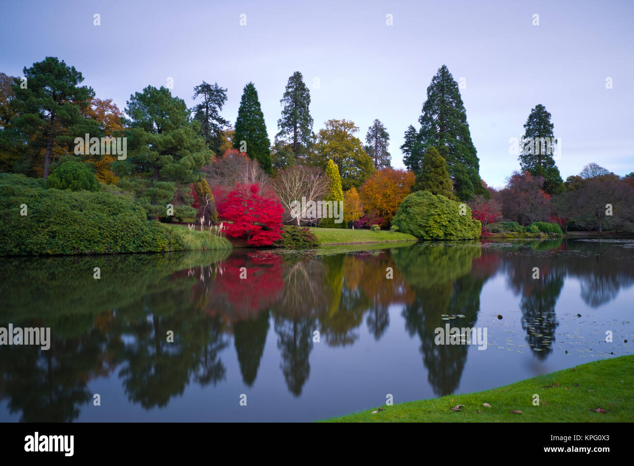 Sheffield forest sussex hi-res stock photography and images - Alamy
