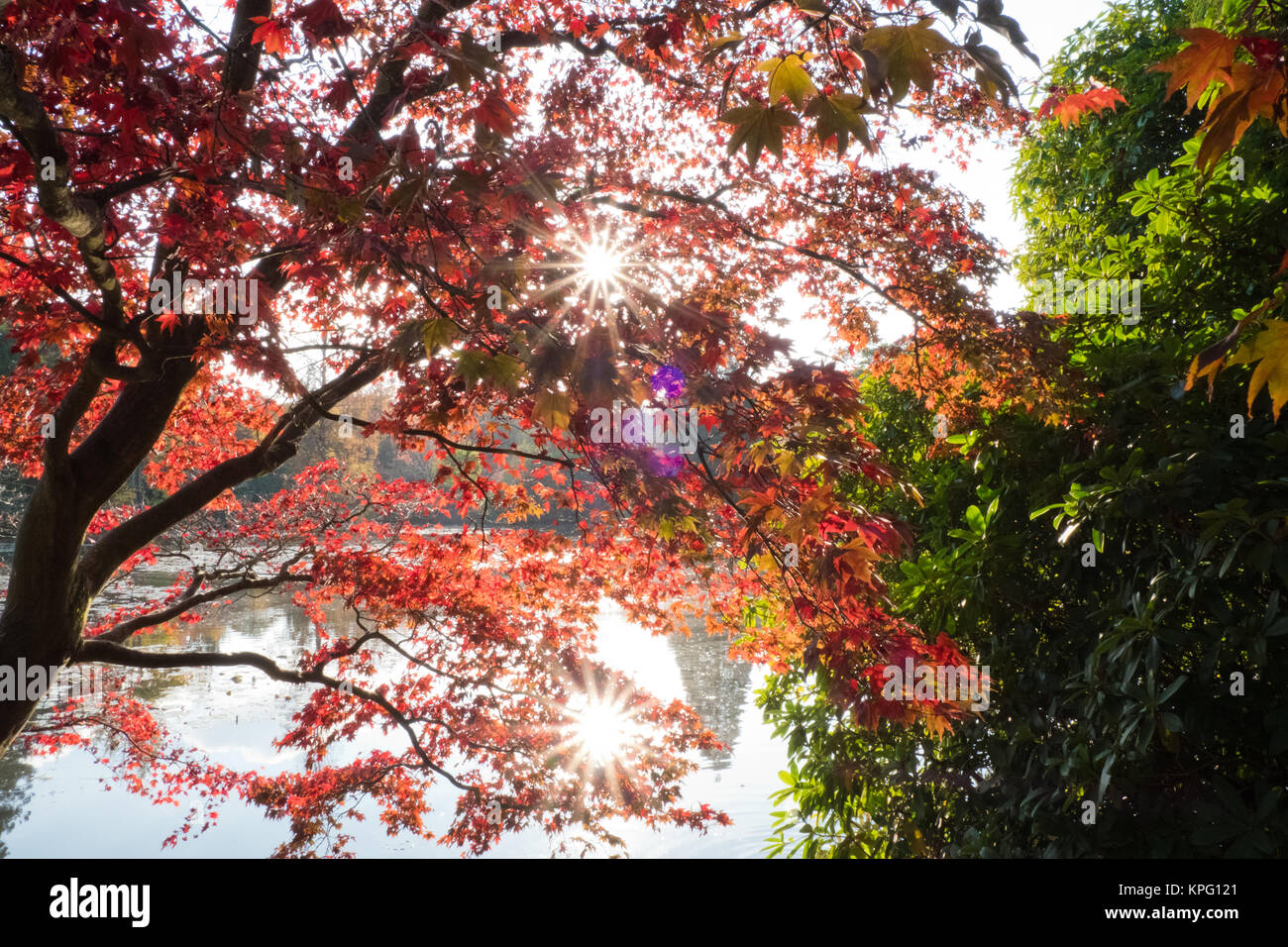 Sheffield Park Gardens, East Sussex, England Stock Photo - Alamy