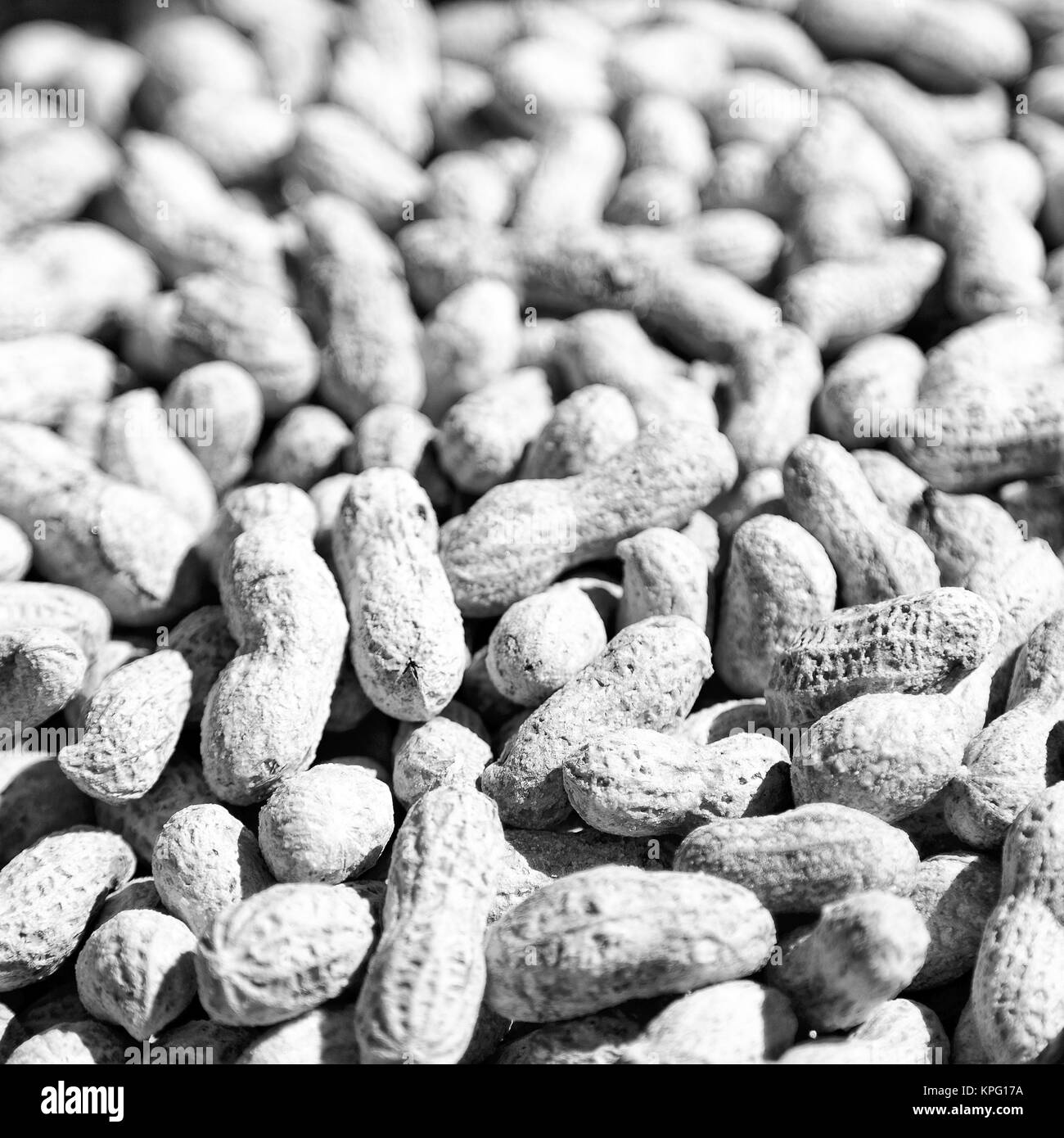 in the market lots of peanuts like concept of healthy food and snack ...