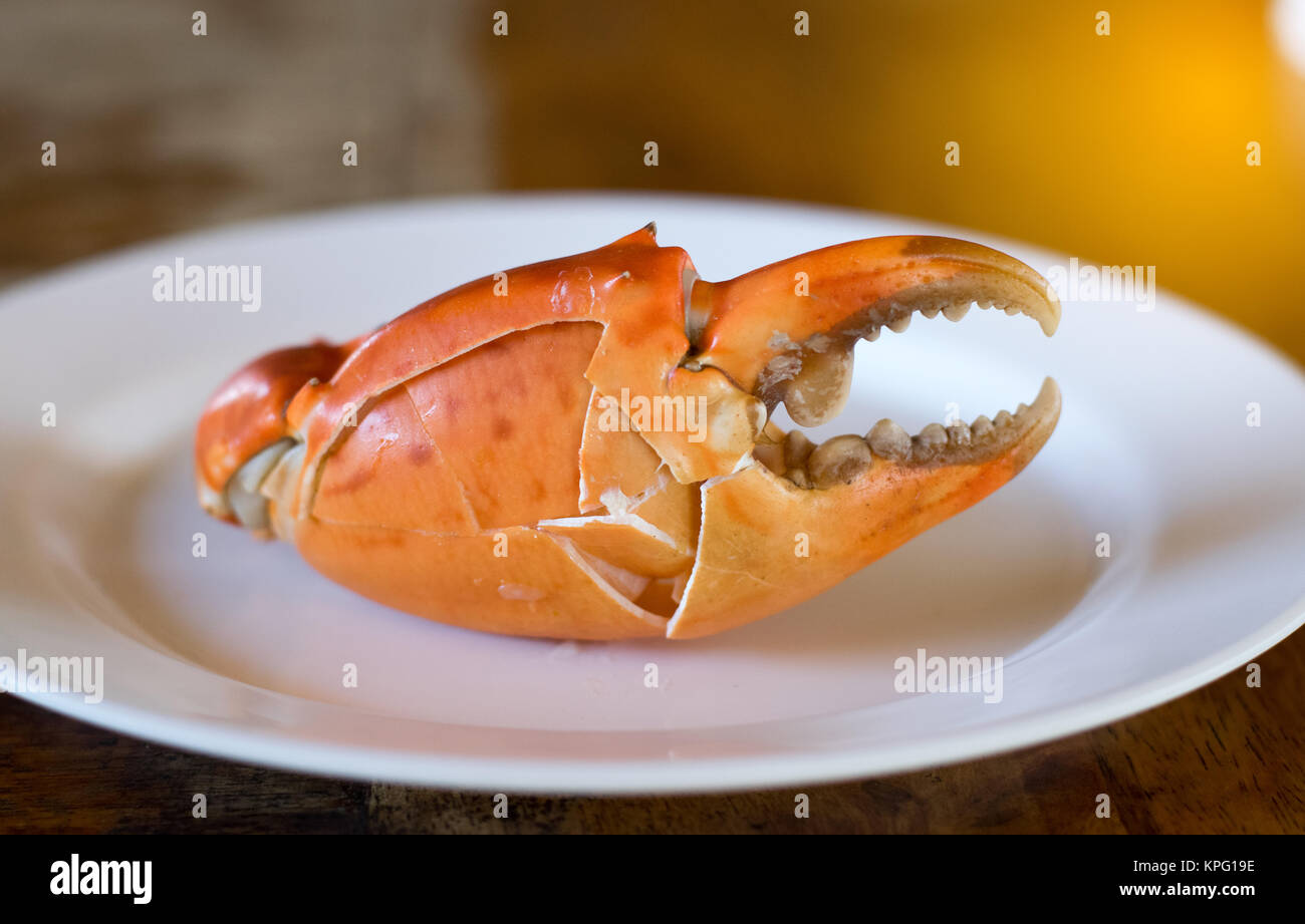 Big crab hi-res stock photography and images - Alamy