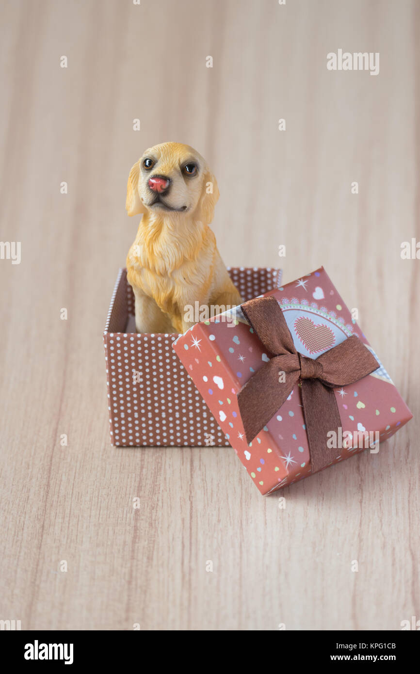 Dog in a gift box Stock Photo - Alamy