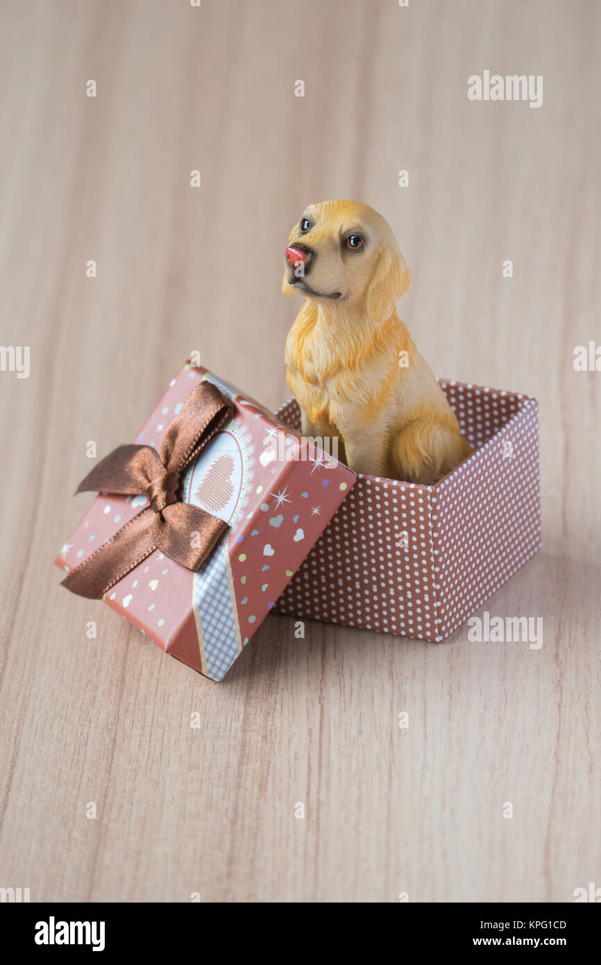 Dog in a gift box Stock Photo - Alamy