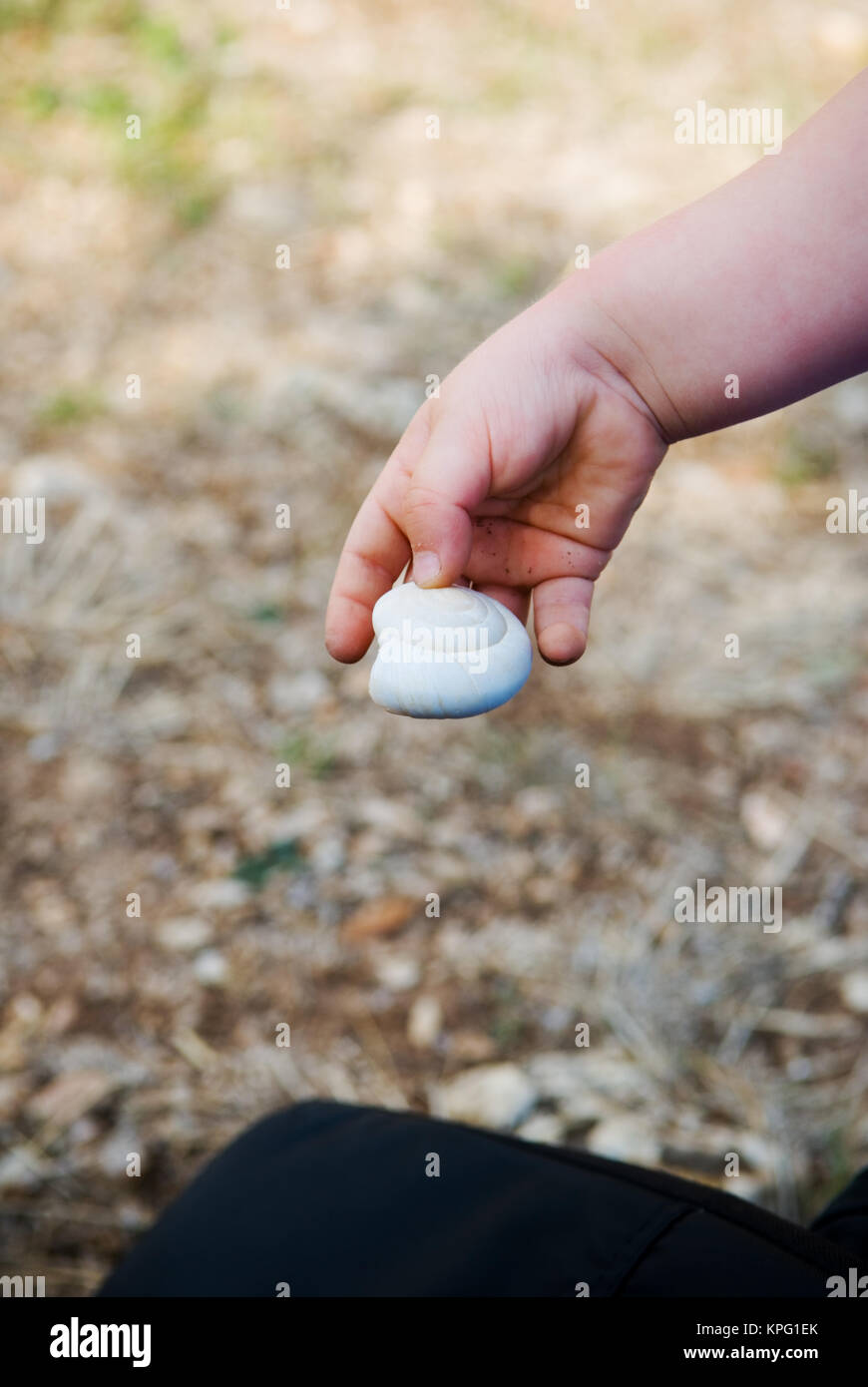 Child picking shell hi-res stock photography and images - Alamy